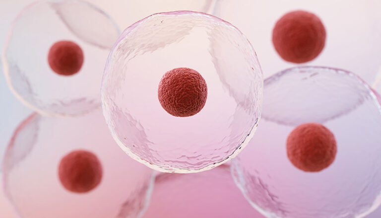 Stem Cell Activators: What Are They and How Do They Work?